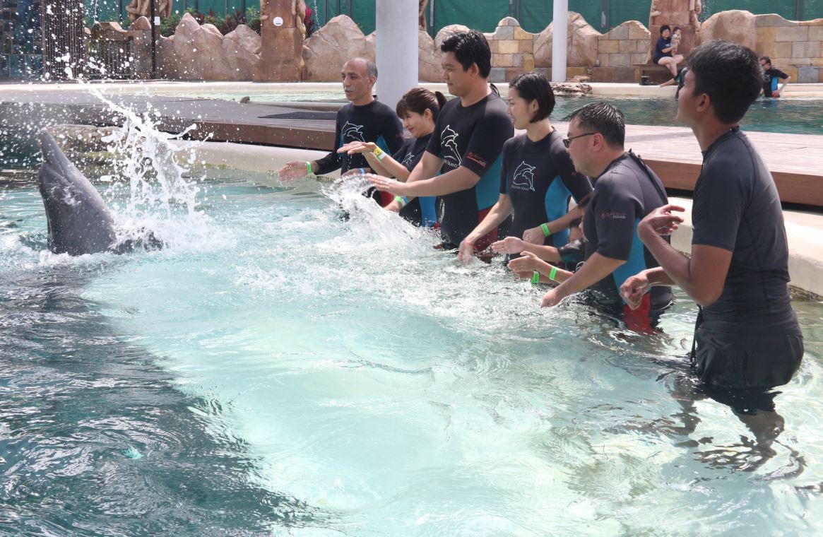 SMOU Family Day – Dolphin Island @ Adventure Cove Waterpark